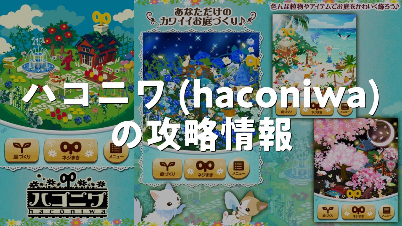 ハコニワ (haconiwa)の攻略・初心者向け攻略法・レベルの上げ方 | スマホゲームNavi