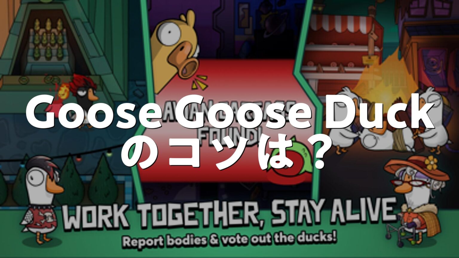 Goose Goose Duckのコツは？やり方・遊び方 | スマホゲームNavi